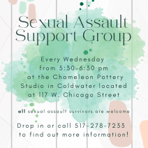 (517) 278-SAFE – BCCADSV – Branch County Coalition Against Domestic and ...